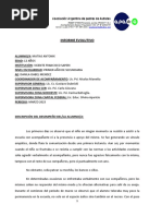 Informe Grupal Final | PDF