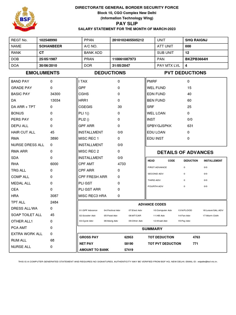 Pay Slip: Directorate General Border Security Force | PDF