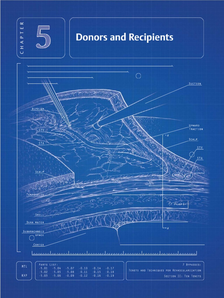 Seven Bypasses - Tenets and Techniques For Revascularization Dicecccion ...