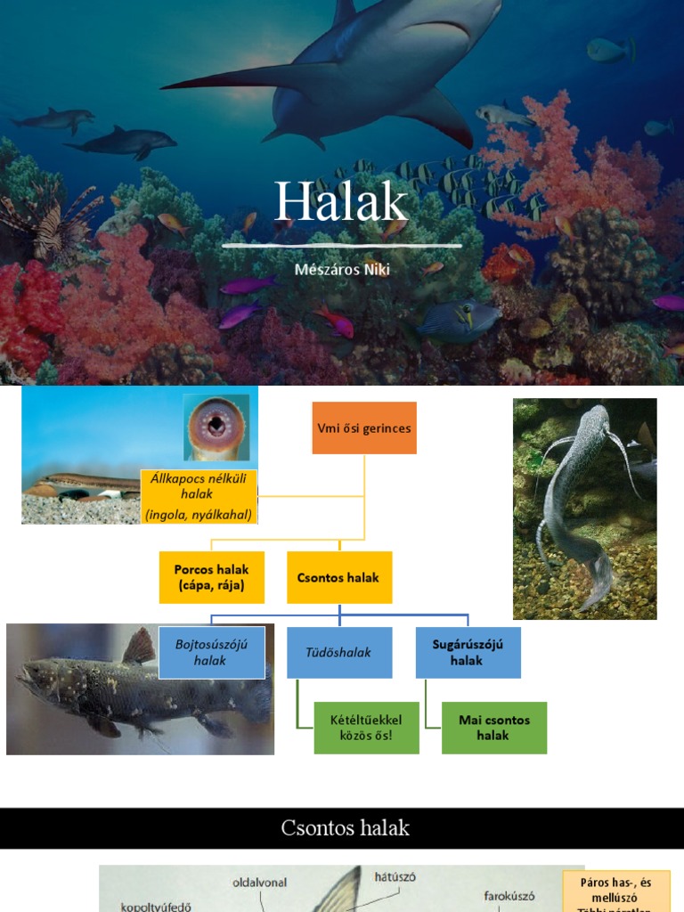 Halak | PDF