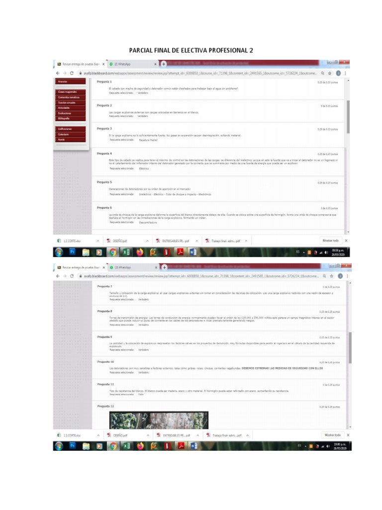 Evaluaciones de Electiva Profesional 2 | PDF