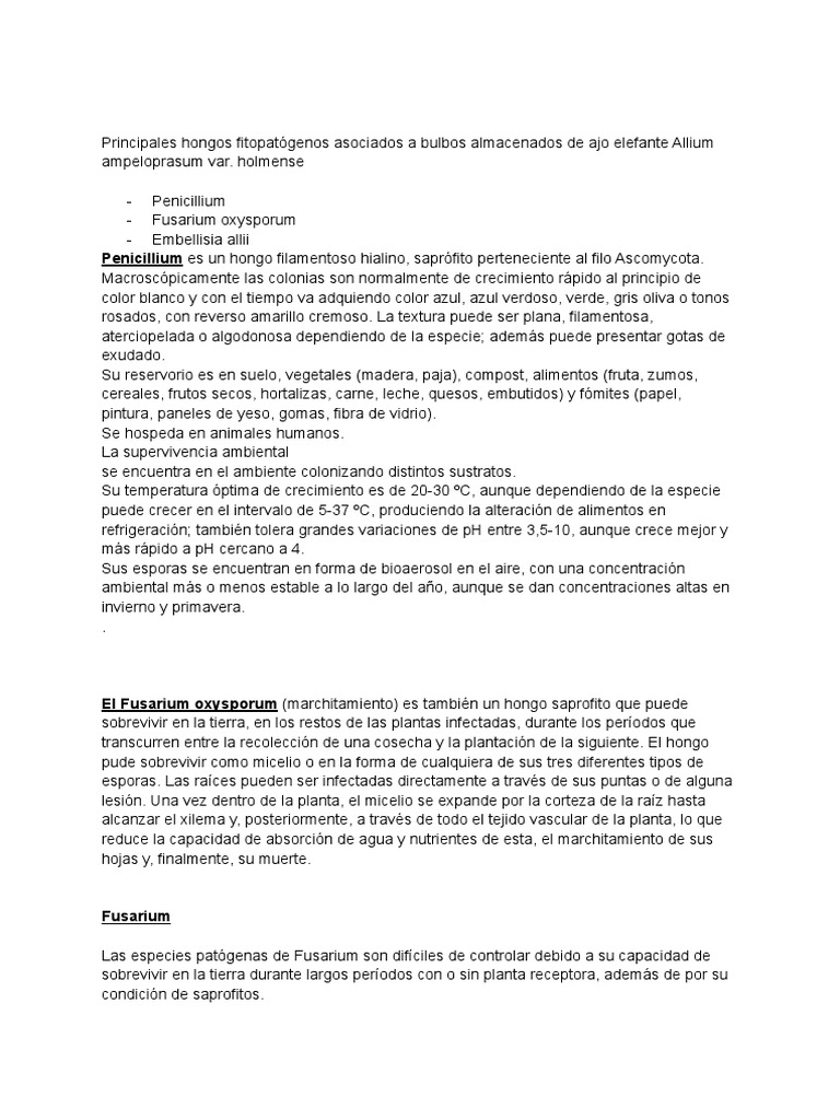 Penicillium Es Un Hongo Filamentoso Hialino, Saprófito Perteneciente Al ...