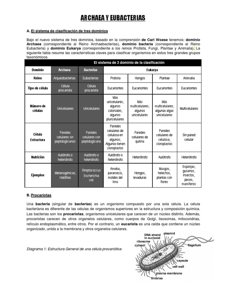 Archaea Y Eubacterias | PDF | Las bacterias | Archaea