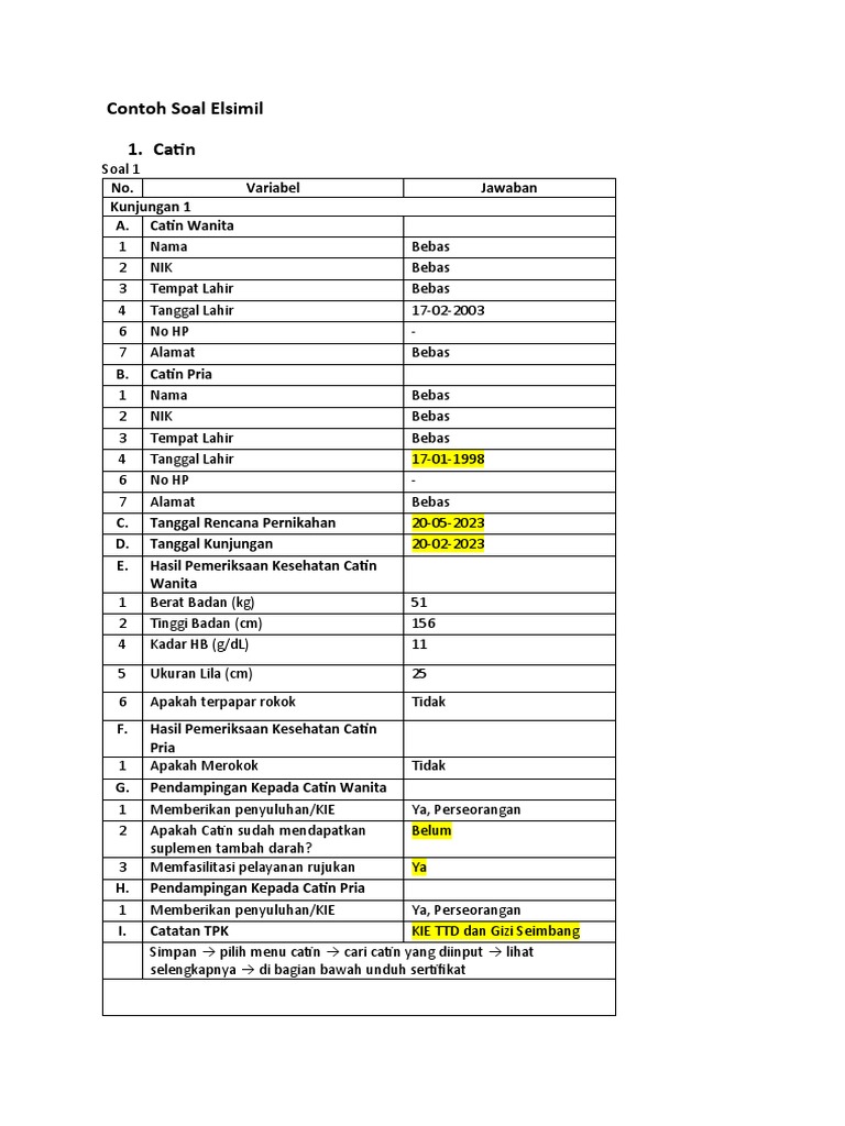 Contoh Soal Elsimil 1. Catin | PDF