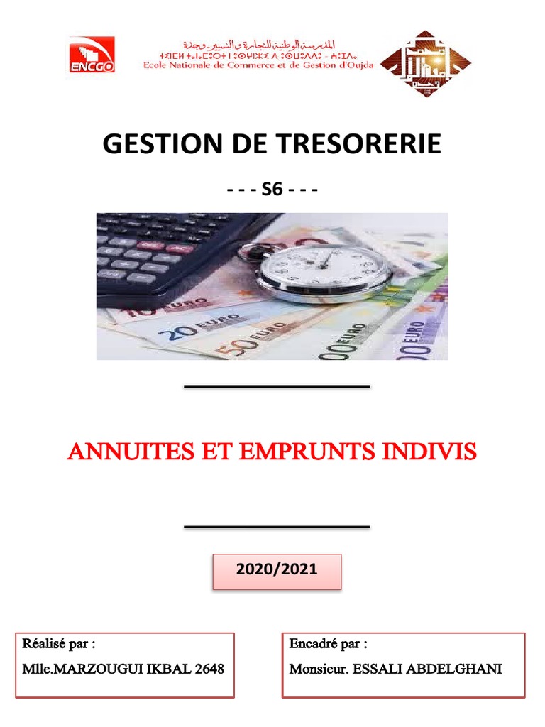 Gestion Trésorerie et Emprunts | PDF | Prêts | Bilan comptable