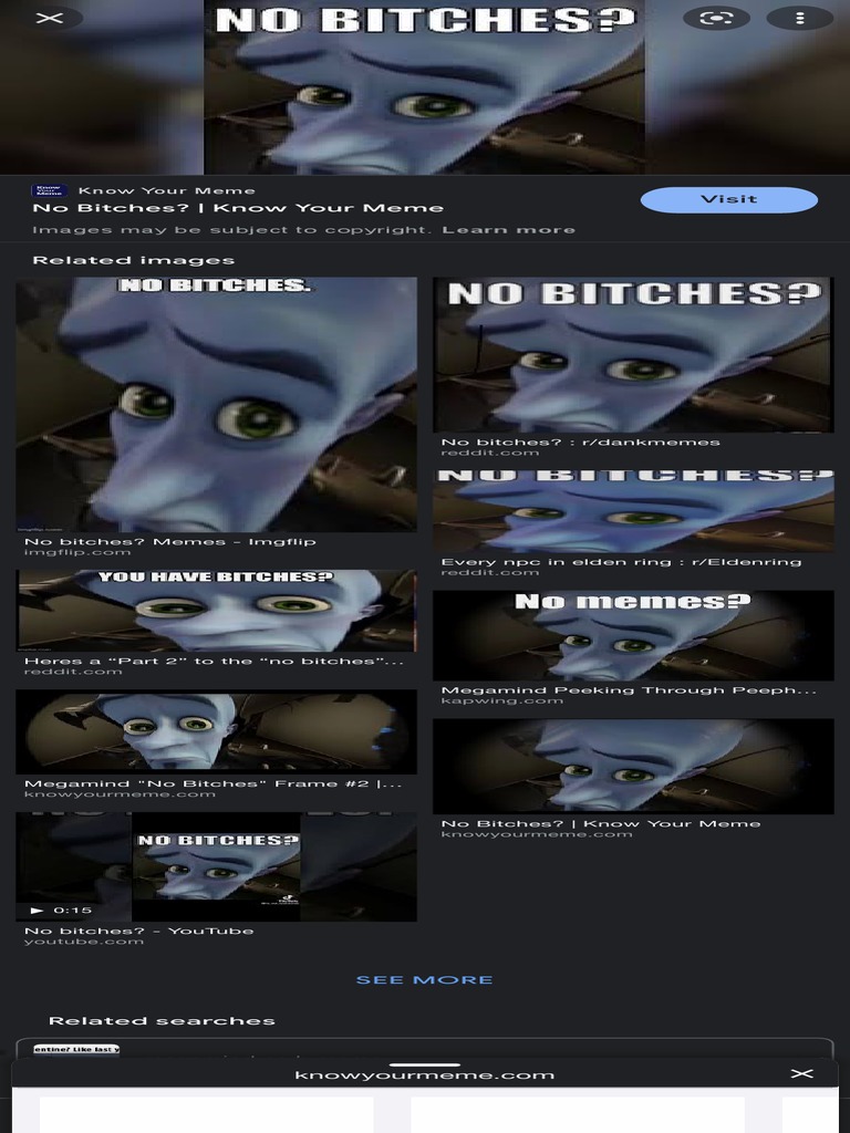 No Bitches? - Know Your Meme: Related Images | PDF