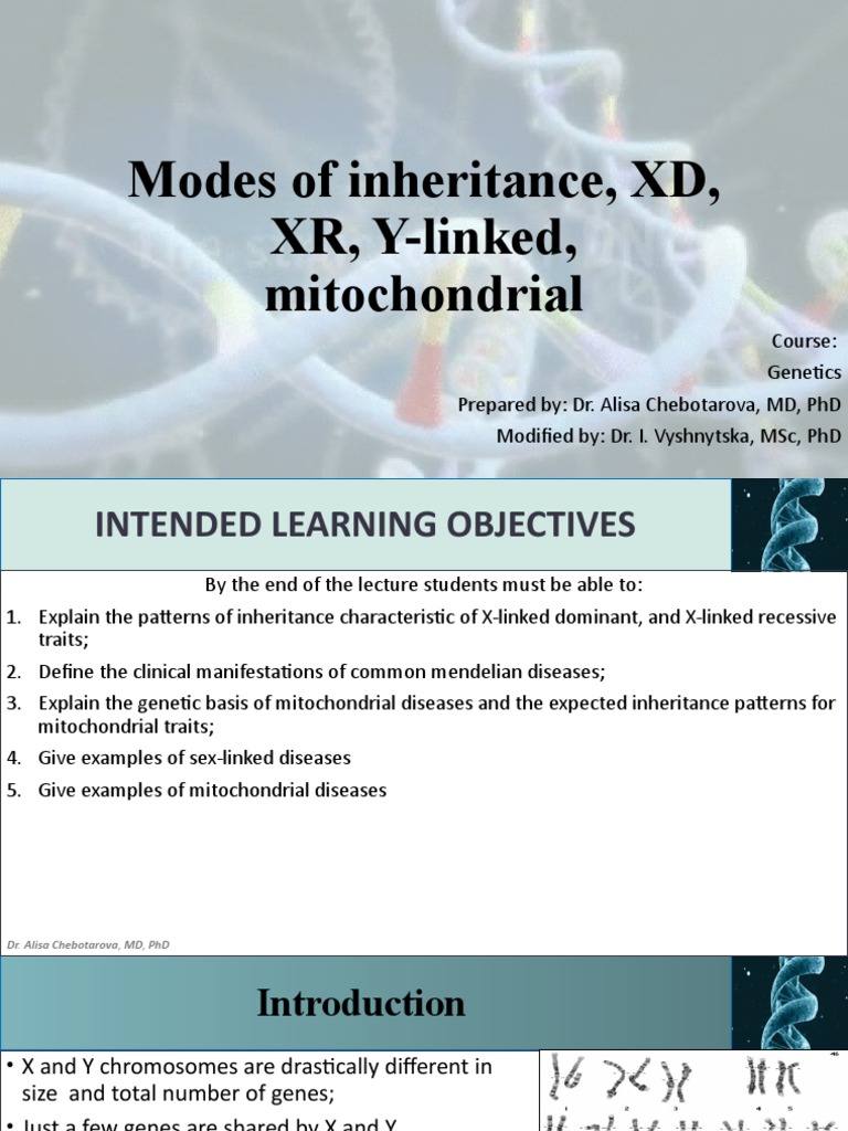 Modes of Inheritance, XD, XR, Y-Linked, Mitochondrial | PDF | Dominance (Genetics) | Mitochondrion