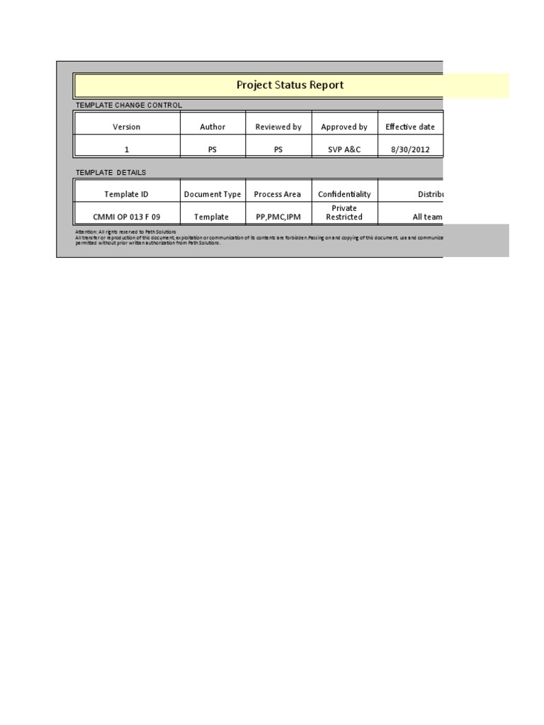 KIB Project Status Report: Issues & Progress | PDF | Computing | Business
