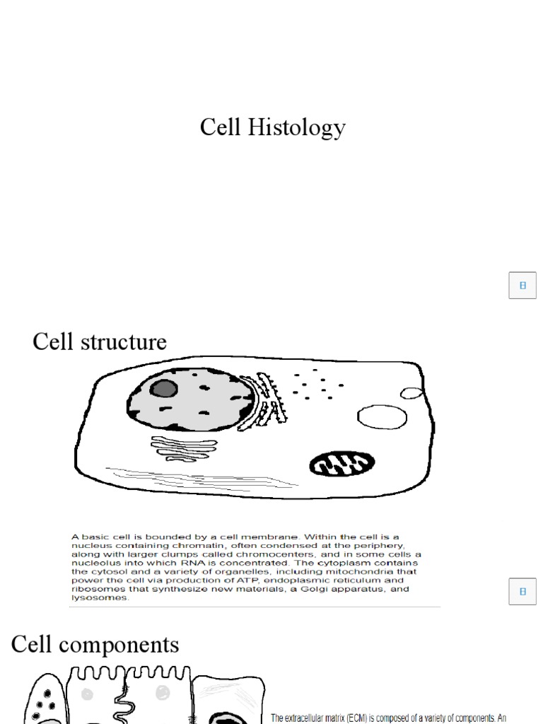 Cell Histology and Pathological Changes | PDF