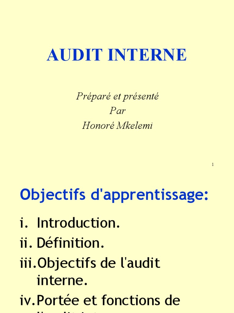 Auditing Internal Audit Presentation | PDF