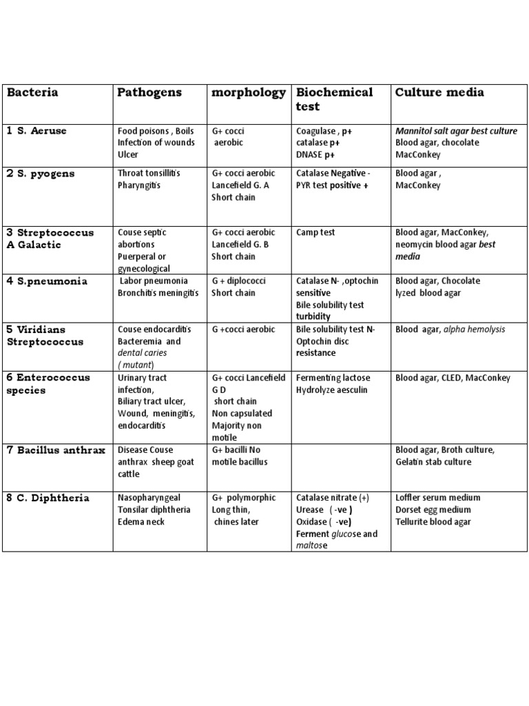 Bacteria Pathogens | PDF | Streptococcus | Medical Specialties