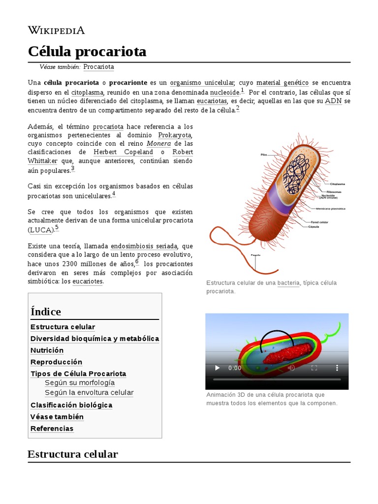 Célula Procariota | PDF | Procariota | Las bacterias