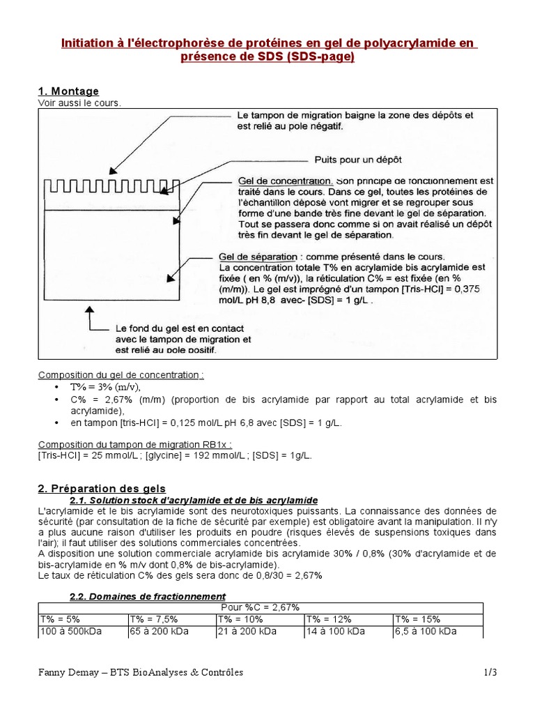 Initiation à l'électrophorèse SDS-PAGE | PDF | Chimie | Sciences physiques