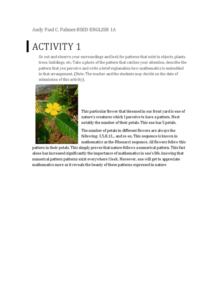 Activity 1. Math | PDF
