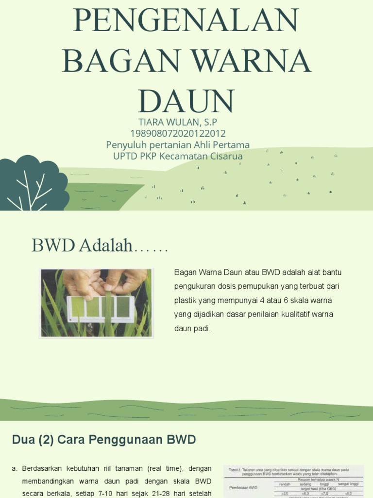Panduan Bagan Warna Daun Padi | PDF | Sains & Matematika | Teknologi ...