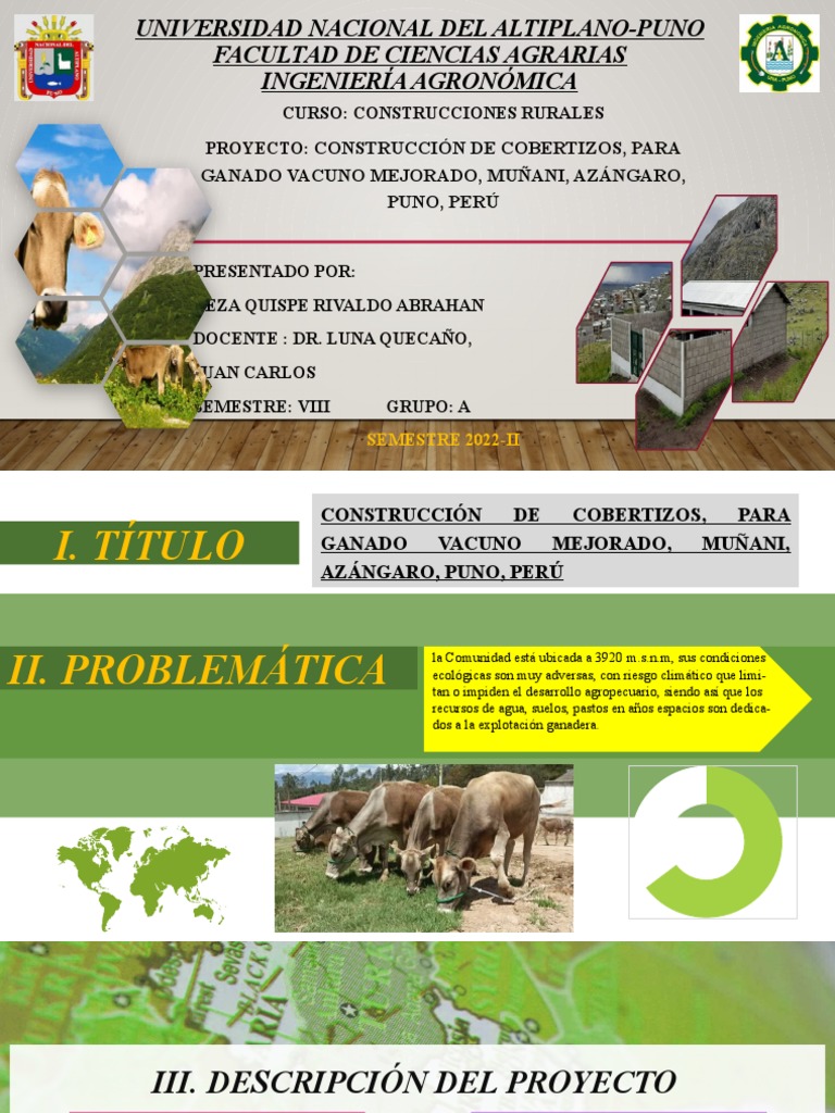 Expo, Proyecto de Cobertizos para Ganado Vacuno | PDF | Agronomía | Agricultura