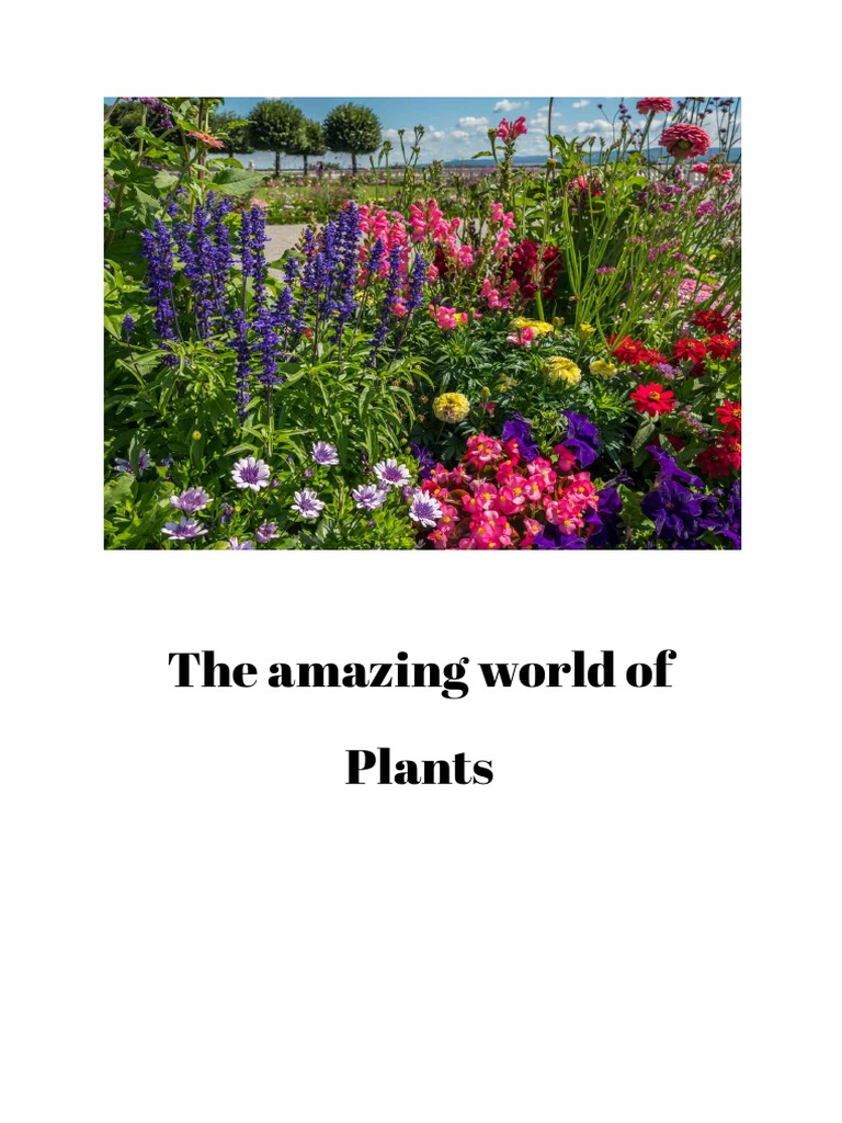 The Amazing World of Plants | PDF | Plants | Reproduction