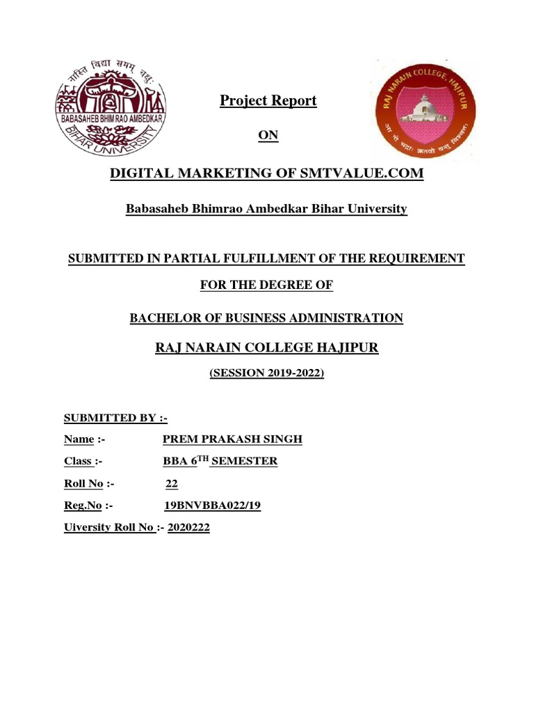 Prem Prakash Singh Project120 | PDF | Search Engine Optimization | Digital Marketing