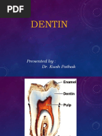 Dentin Structure and Types Explained | PDF | Dentin | Mouth