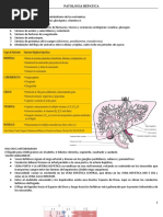 Función y Efectos de la Motilina | PDF | Diarrea | Intestino delgado