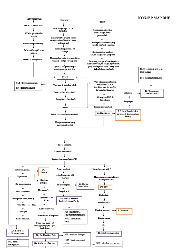 Konsep Map DHF | PDF