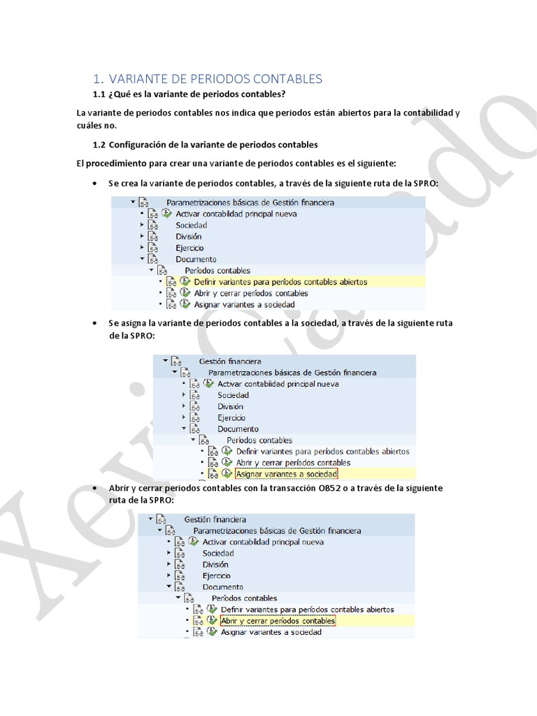Variante de Periodos Contables en SAP | PDF | Sociedad | Informática