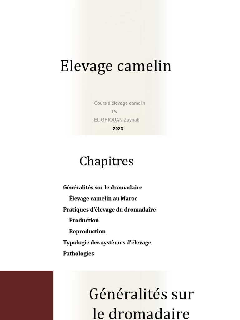 Elevage Camelin TS | PDF | Dent | Chameau