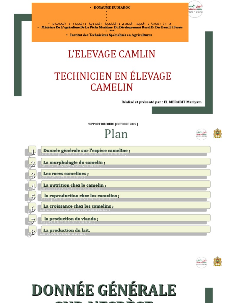 Elevage Camelin Réalisé Par Mme EL MERABET | PDF | Utérus ...