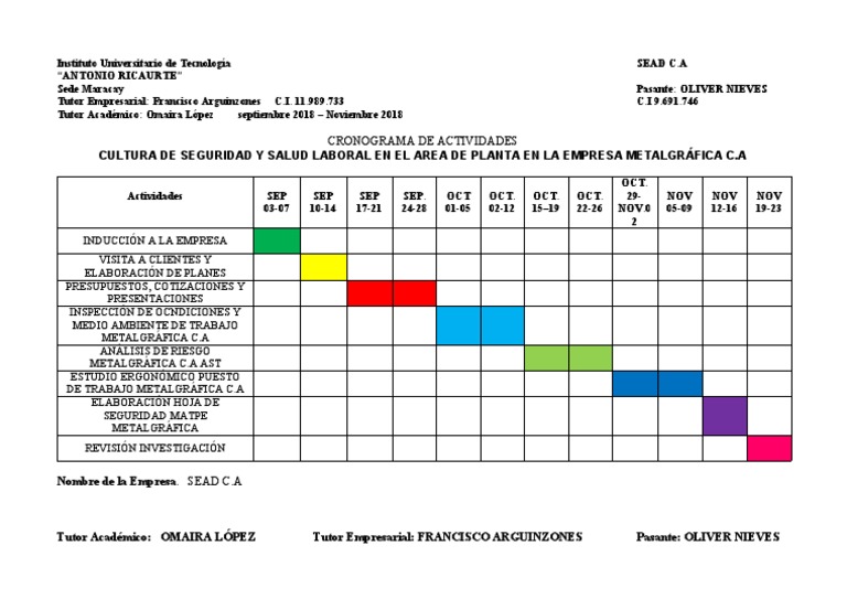 Ejemplo Cronograma de Actividades de Pasantias | PDF