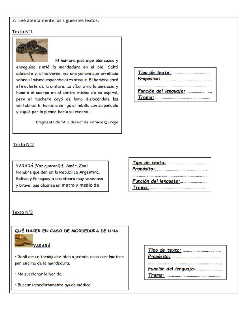 Actividad N°2 Sobre Tipologías Textuales | PDF