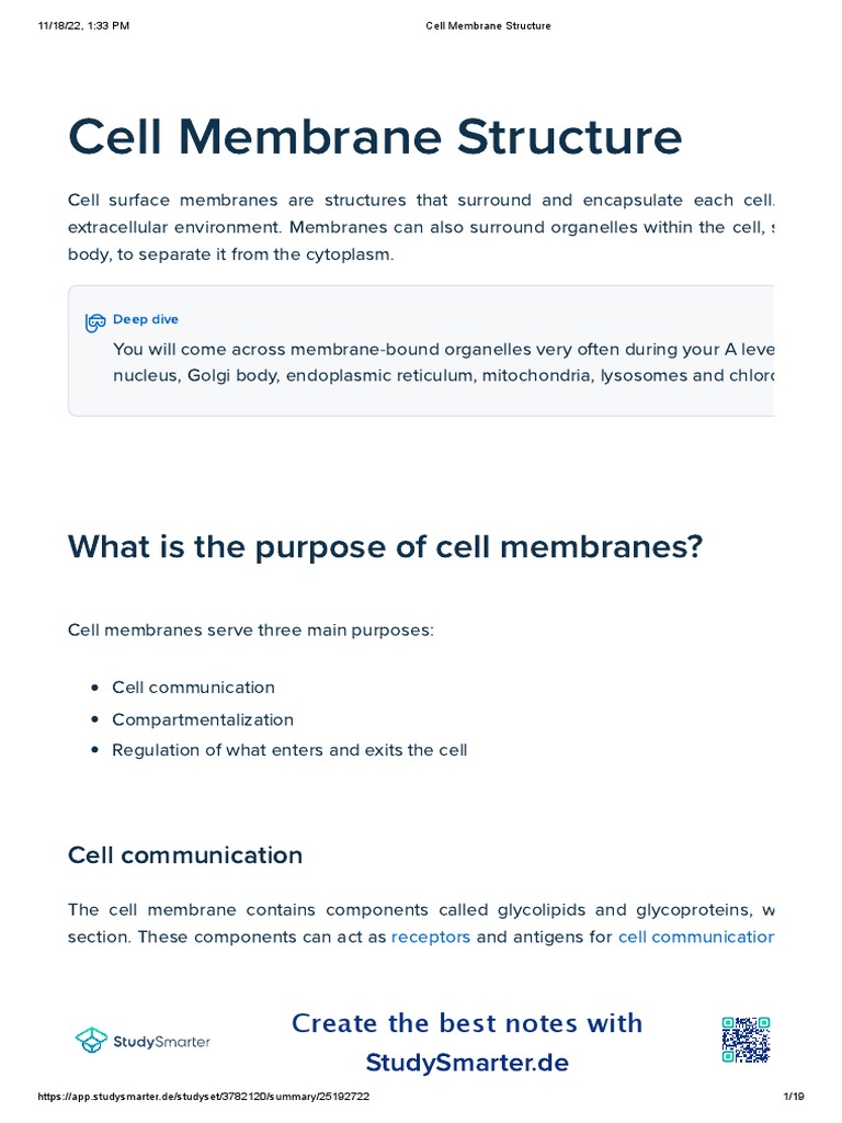 Cell Membrane Structure | Download Free PDF | Cell Membrane | Cell ...