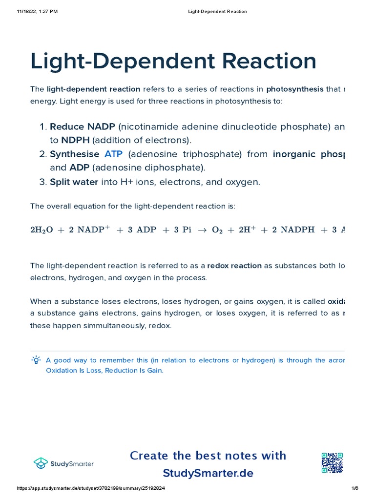 Light-Dependent Reaction | PDF | Photosynthesis | Redox