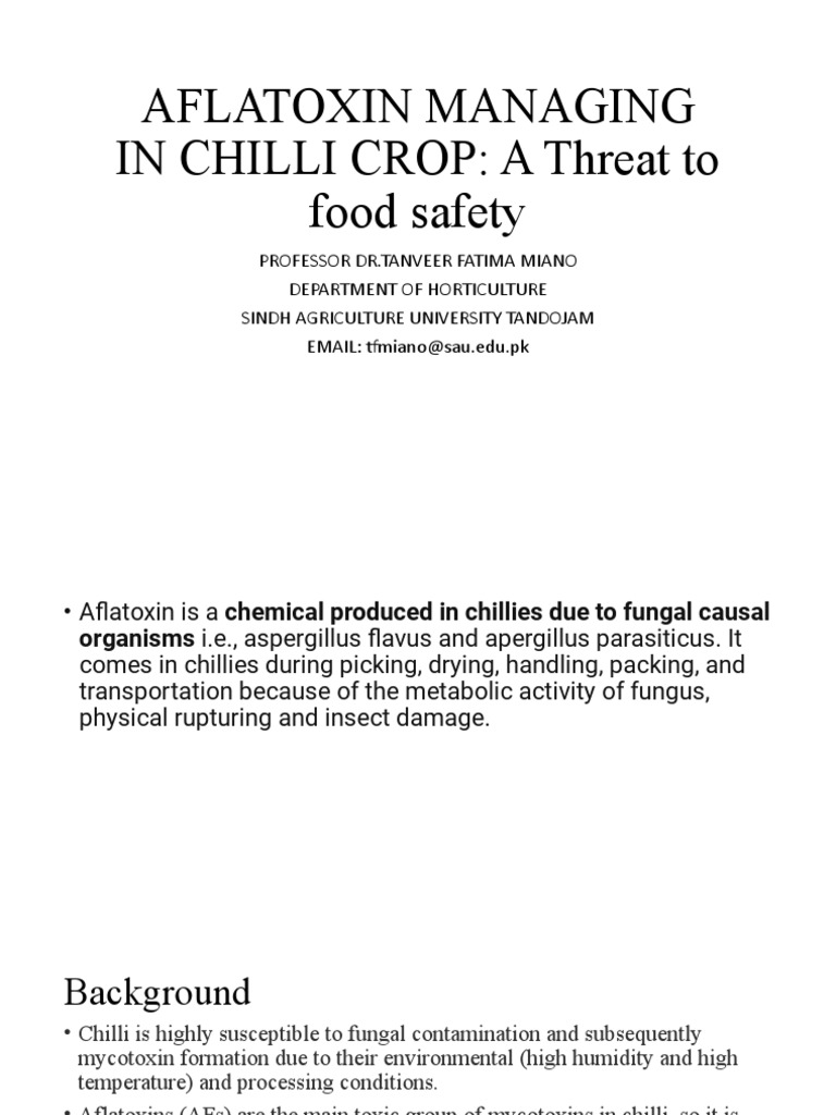 Aflatoxin Risks in Chilli Farming | PDF | Chili Pepper