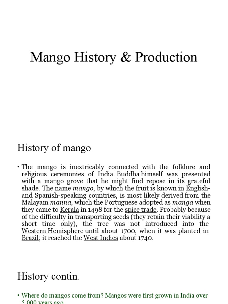 Mango History & Production | PDF | Mango | Nutrition