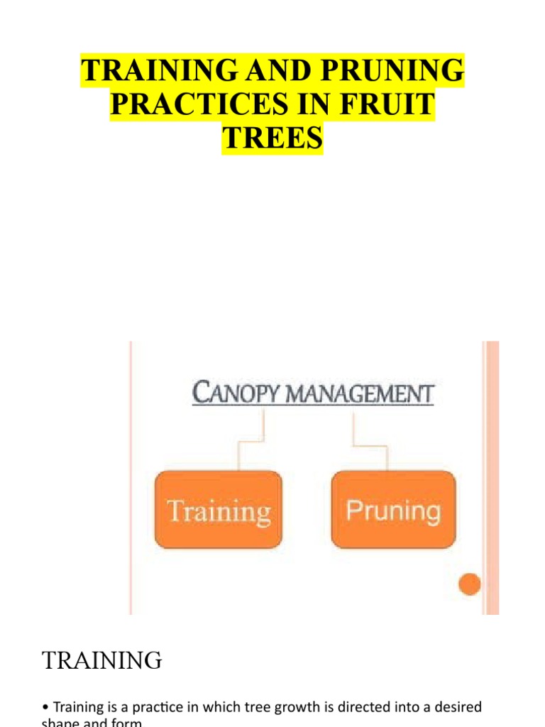 Training and Pruning Fruit Trees | PDF | Pruning | Trees