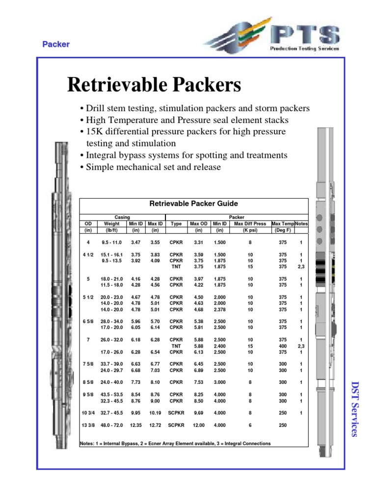 DST Services Packer | Download Free PDF | Mechanical Engineering ...