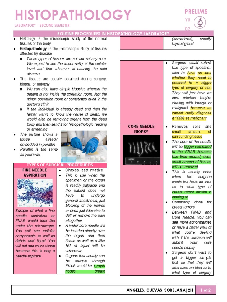 Routine Histopathology Procedures | PDF | Biopsy | Histopathology