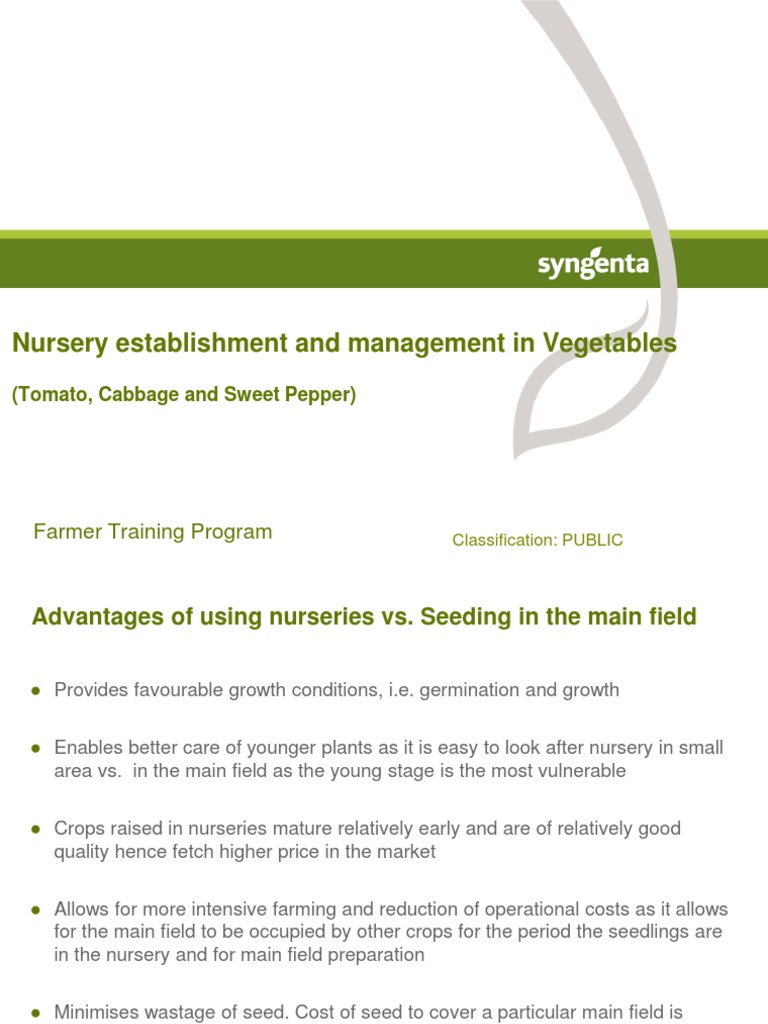 Vegetable Nursery Management Guide | PDF | Plant Nursery | Seedling