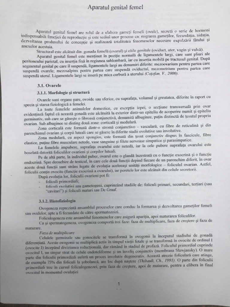 AP Genital Femel Vet | PDF