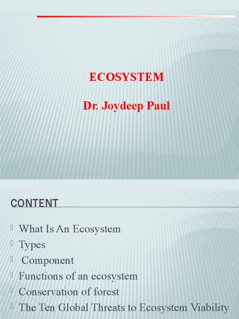 ECOSYSTEM PPT Final PG | PDF | Food Web | Ecosystem