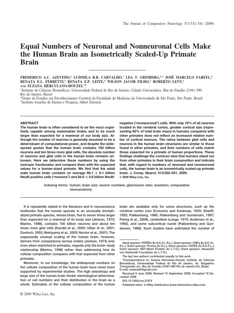 Equal Numbers of Neuronal and Nonneuronal Cells Make The Human Brain An ...