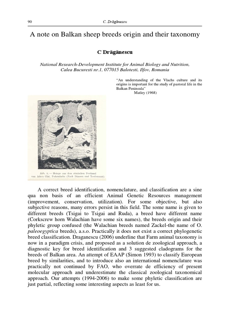 A Note On Balkan Sheep Breeds Origin and Their Taxonomy | PDF ...