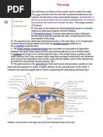 Work at Height WAH Rescue Procedure | PDF | Emergency | Rescue