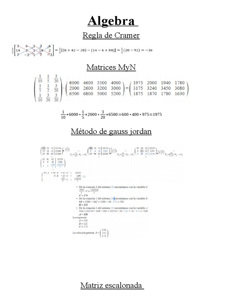 Resumen para Final de Algebla | PDF | Mapa lineal | Espacio vectorial