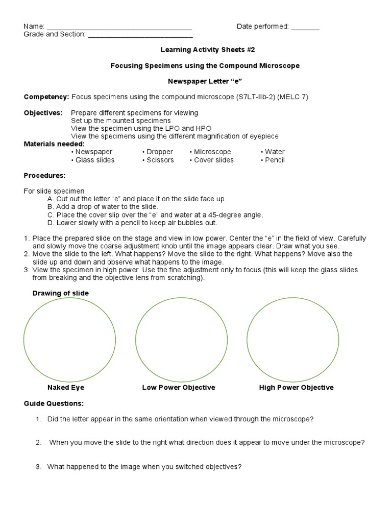 Q2 LAS #2 Focusing Microscope | PDF