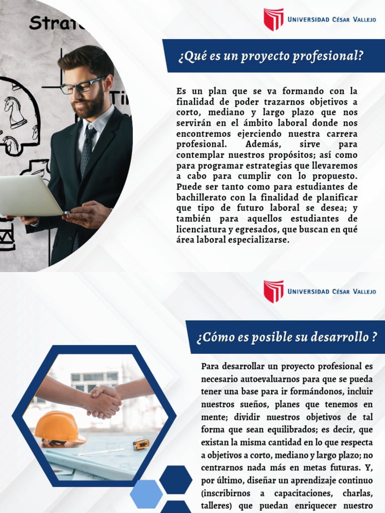 qu-es-un-proyecto-profesional-pdf