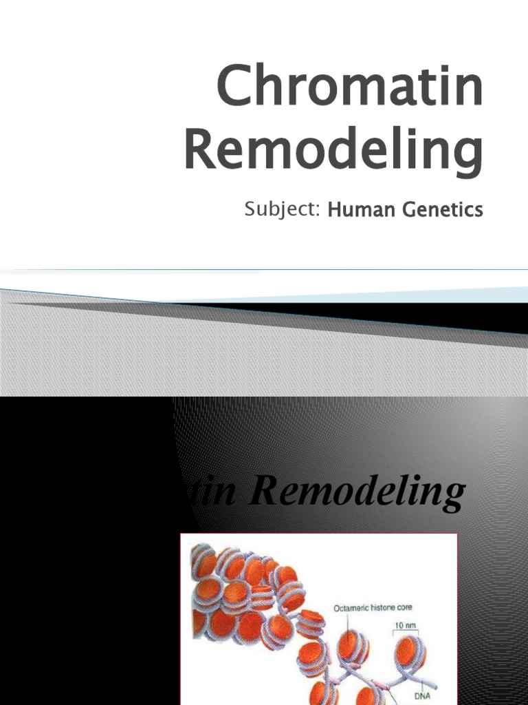 Chromatin Remodeling in Gene Expression | PDF | Histone | Chromatin