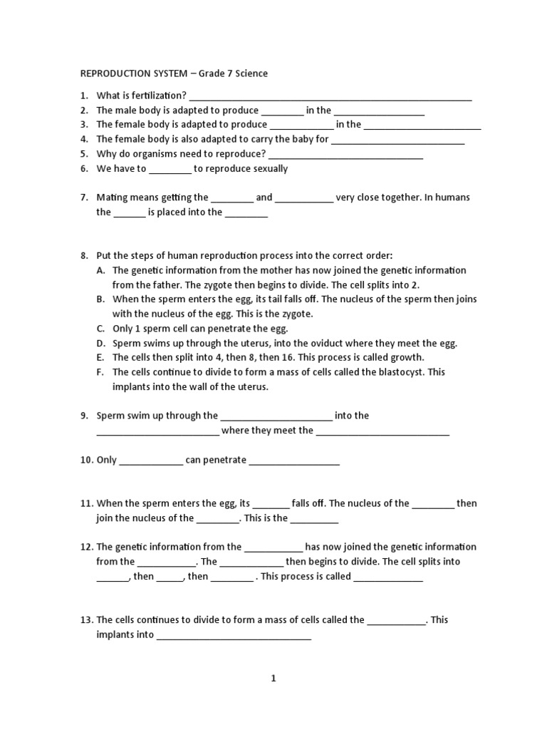 Reproductive System Grade 7 | PDF | Pregnancy | Sexual Reproduction