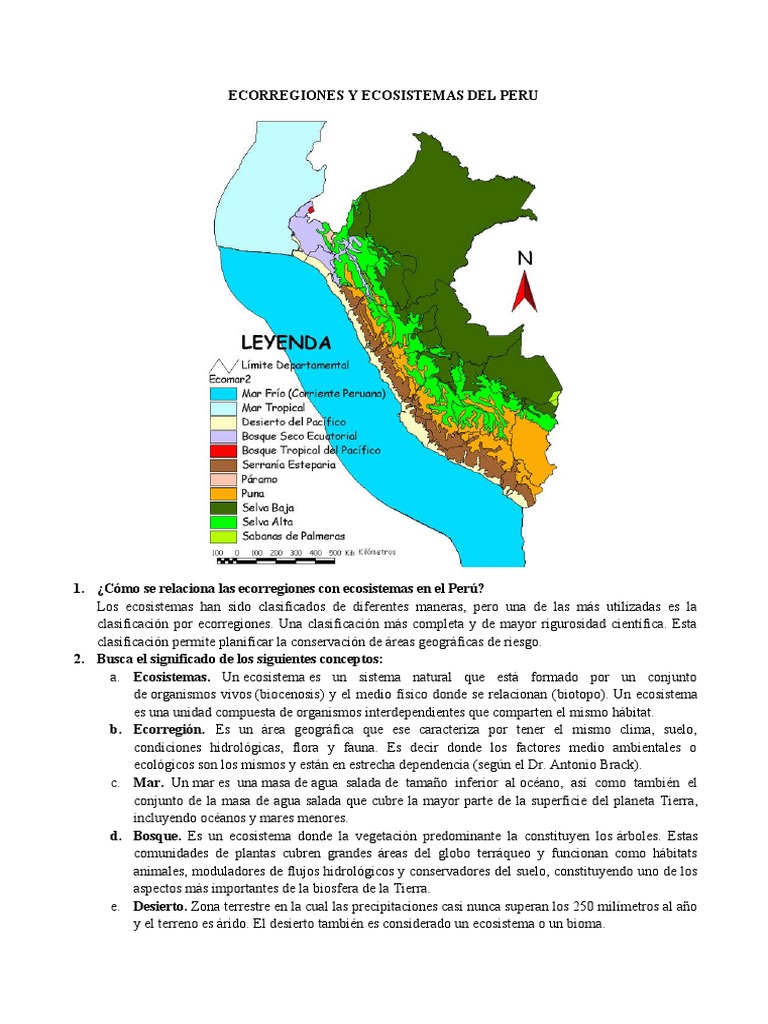 Ecosistemas Del Perú | PDF | Ecosistema | Los bosques