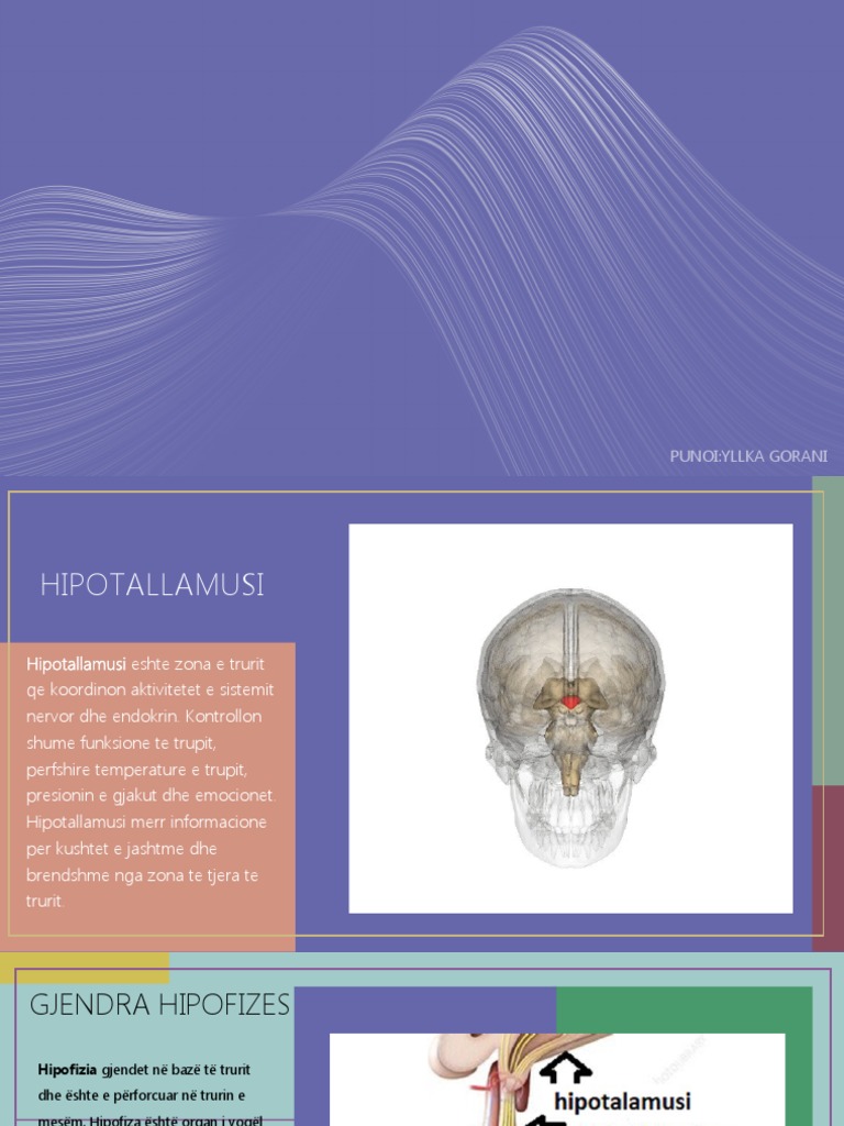 Gjendrat Kryesore Endokrine | PDF